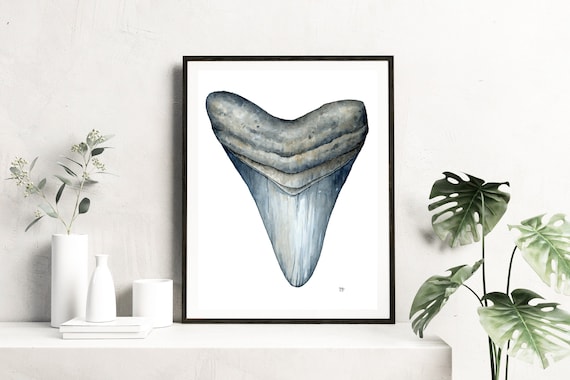 Great White Shark Tooth Print Shark Tooth Print Shark Tooth - Etsy