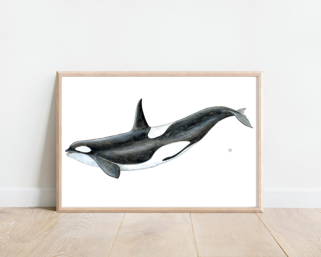 Orca Whale Watercolor Print, Giclee Print, Orca Print, Killer Whale ...