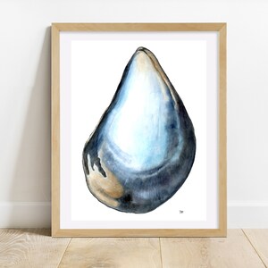 Mussel Shell Print SET OF 3, Seashell Print, Shell Print, Giclee Print ...