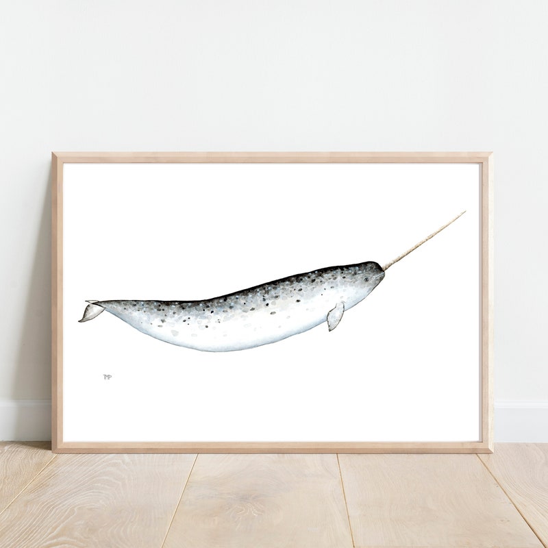 Narwhal Print - Etsy