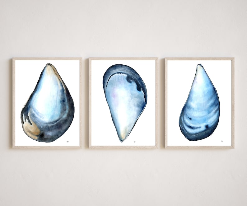 Mussel Shell Print SET OF 3, Seashell Print, Shell Print, Giclee Print ...