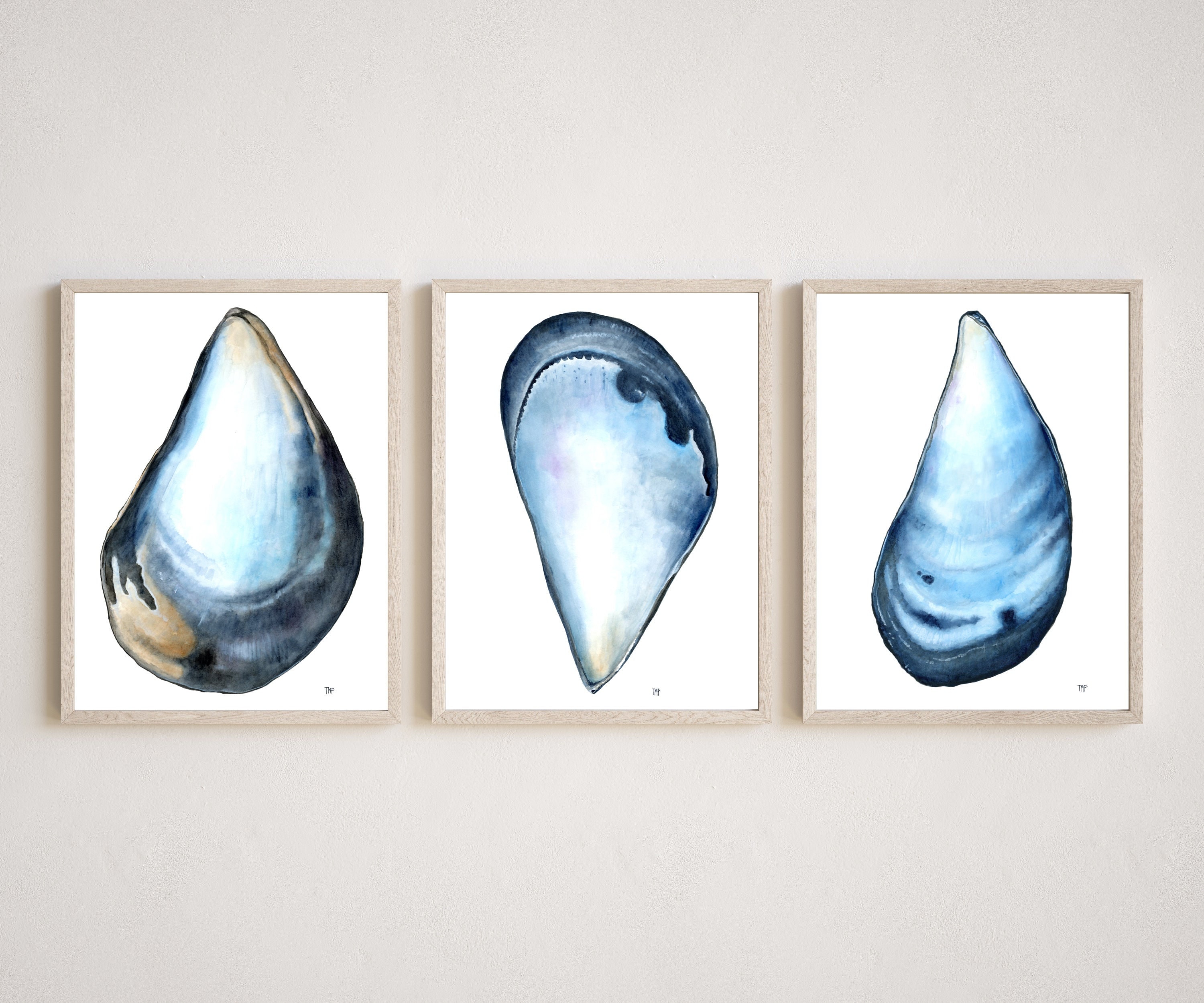 Mussel Shell Print SET OF 3, Seashell Print, Shell Print, Giclee Print ...