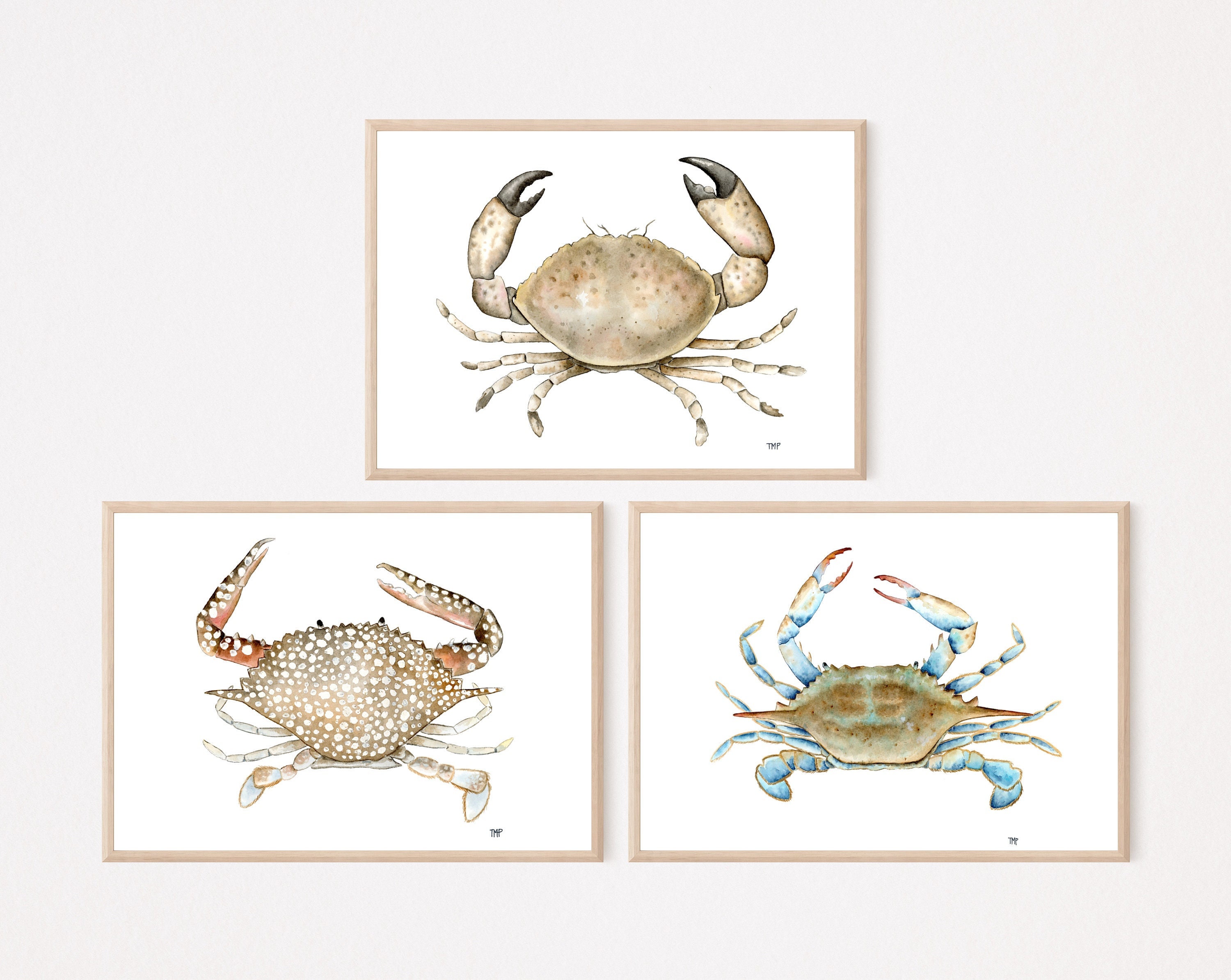 Watercolor Crab Print Set of 3, Crab Print Bundle, Blue Crab Painting ...