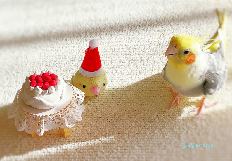 Cockatiel Christmas Card Set A | Etsy