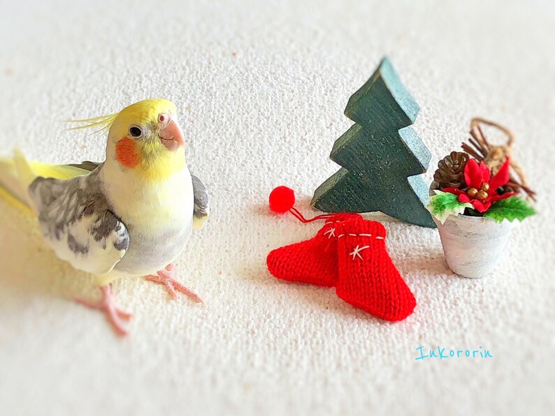 Cockatiel Christmas Card Set A - Etsy