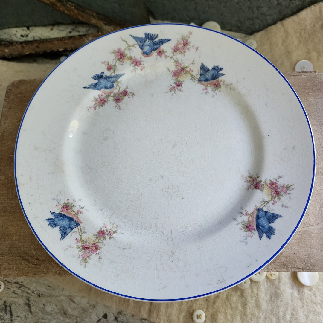 Bluebird / Bluebird Dishes / Cleveland Pottery / Dinner Plate / Vintage ...