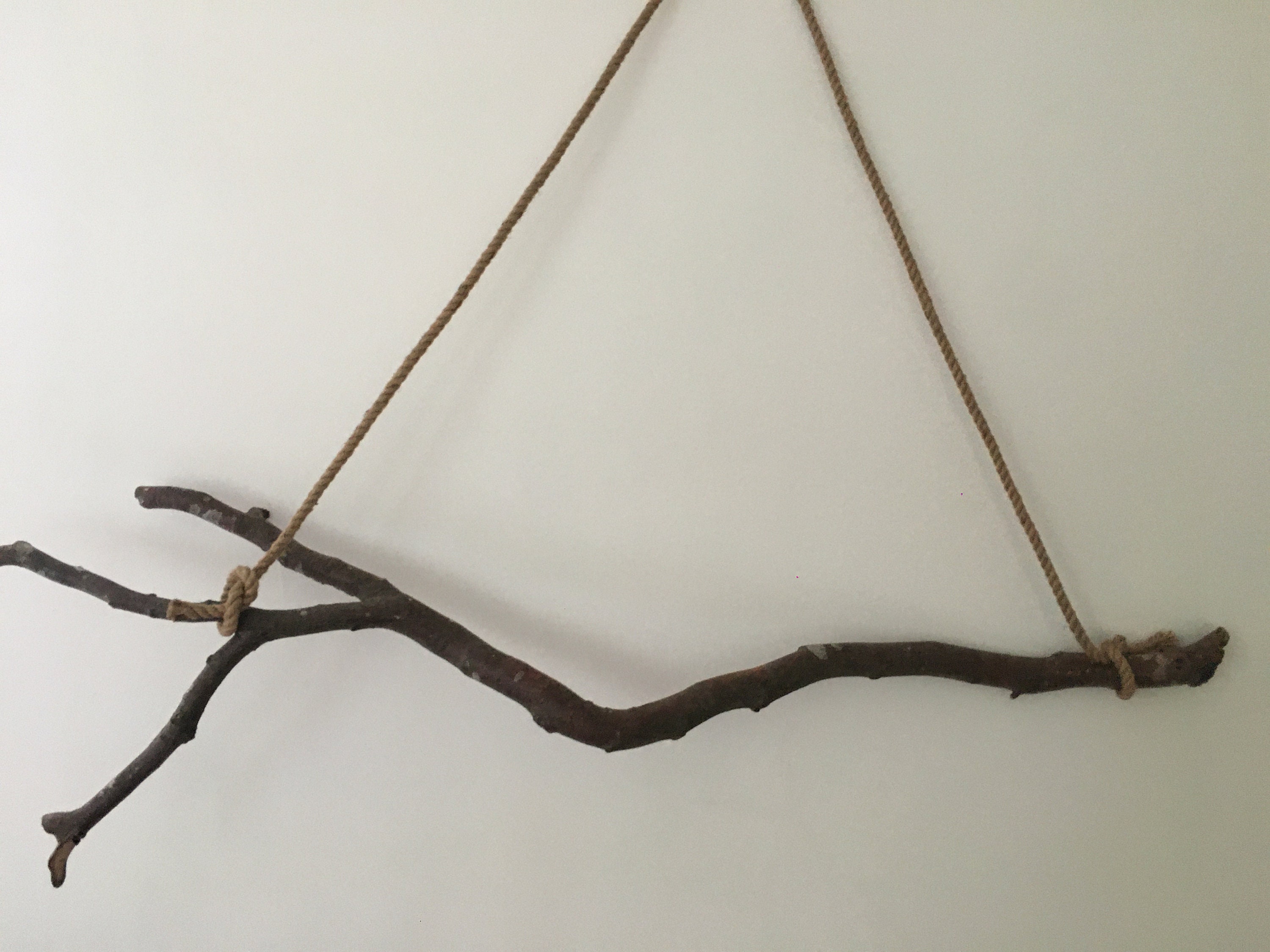 Choose Type and Size of Organic, Natural, Wall Hanging Branches for ...