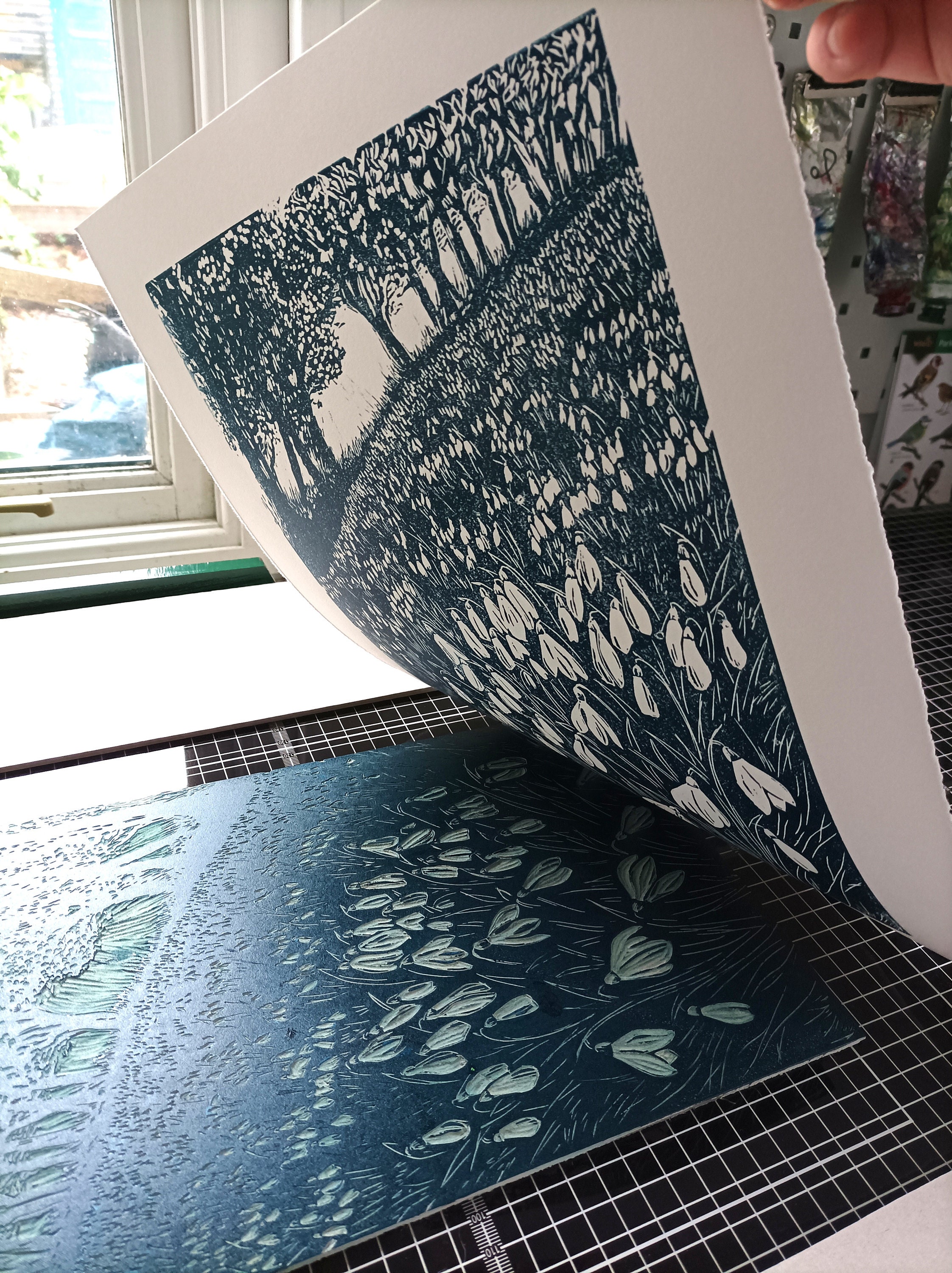 Snowdrop Wood , Linocut Print, Hand Carved and Printed by Cotswold ...