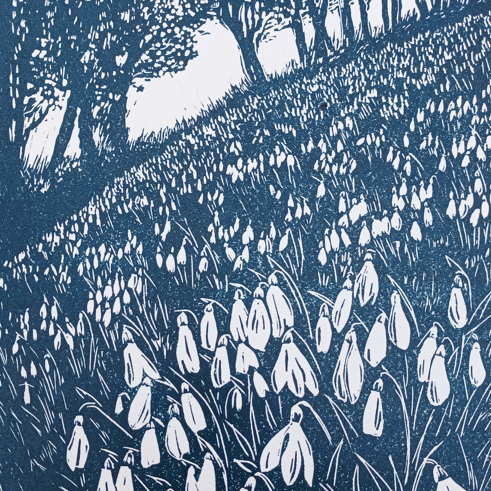 Snowdrop Wood , Linocut Print, Hand Carved and Printed by Cotswold ...