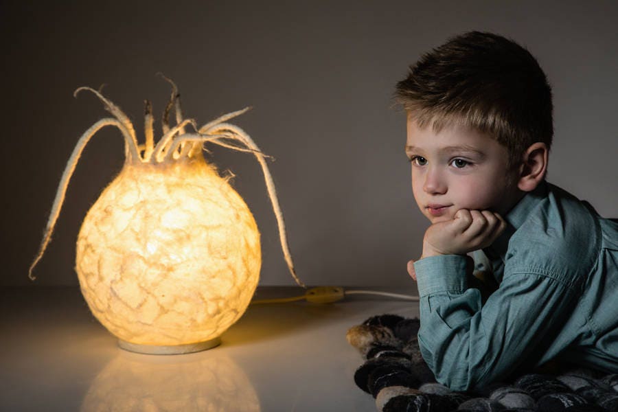 One of a Kind, Felted Lamp. Wool Lamp, Night Light. Gifts for Her ...