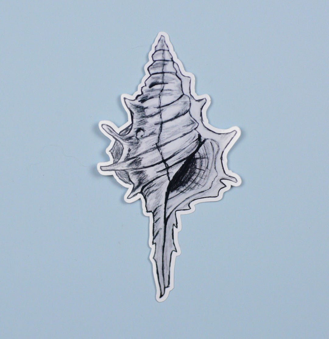 Spiky Conch Seashell Vinyl Sticker, Beach Summer Laptop Decal, Ocean ...
