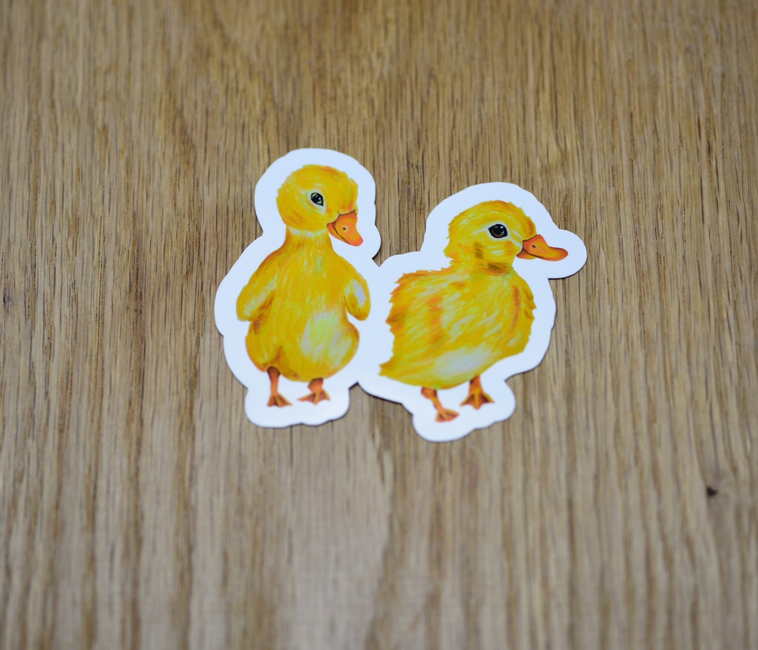 Quackiest Best Duck Friends Sticker, Bird Sticker, Pet Sticker, Animal ...