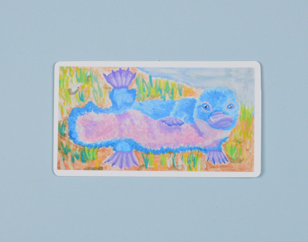 Baby Platypus Vinyl Sticker, Animal Wildlife Laptop Decal, Cute Chibi ...
