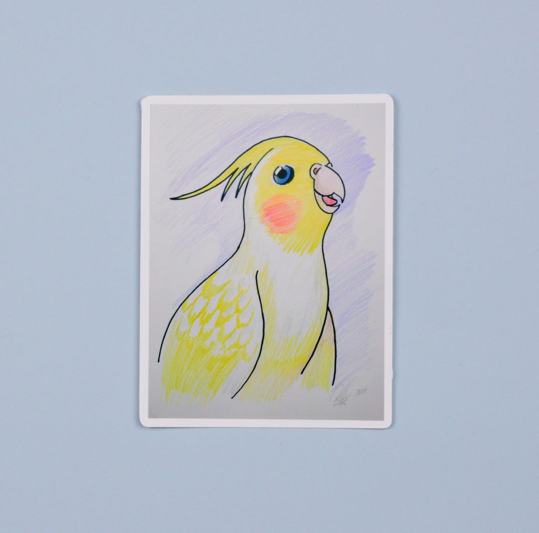 Yellow Cockatiel Parakeet Pet Bird Cute Realistic Vinyl Sticker ...