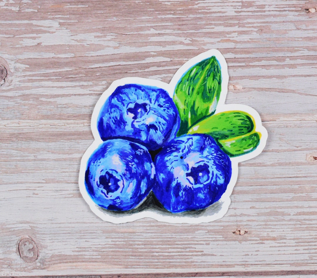 Blueberries Sticker, Fruit Sticker, Food Sticker, Realistic Fine Art ...
