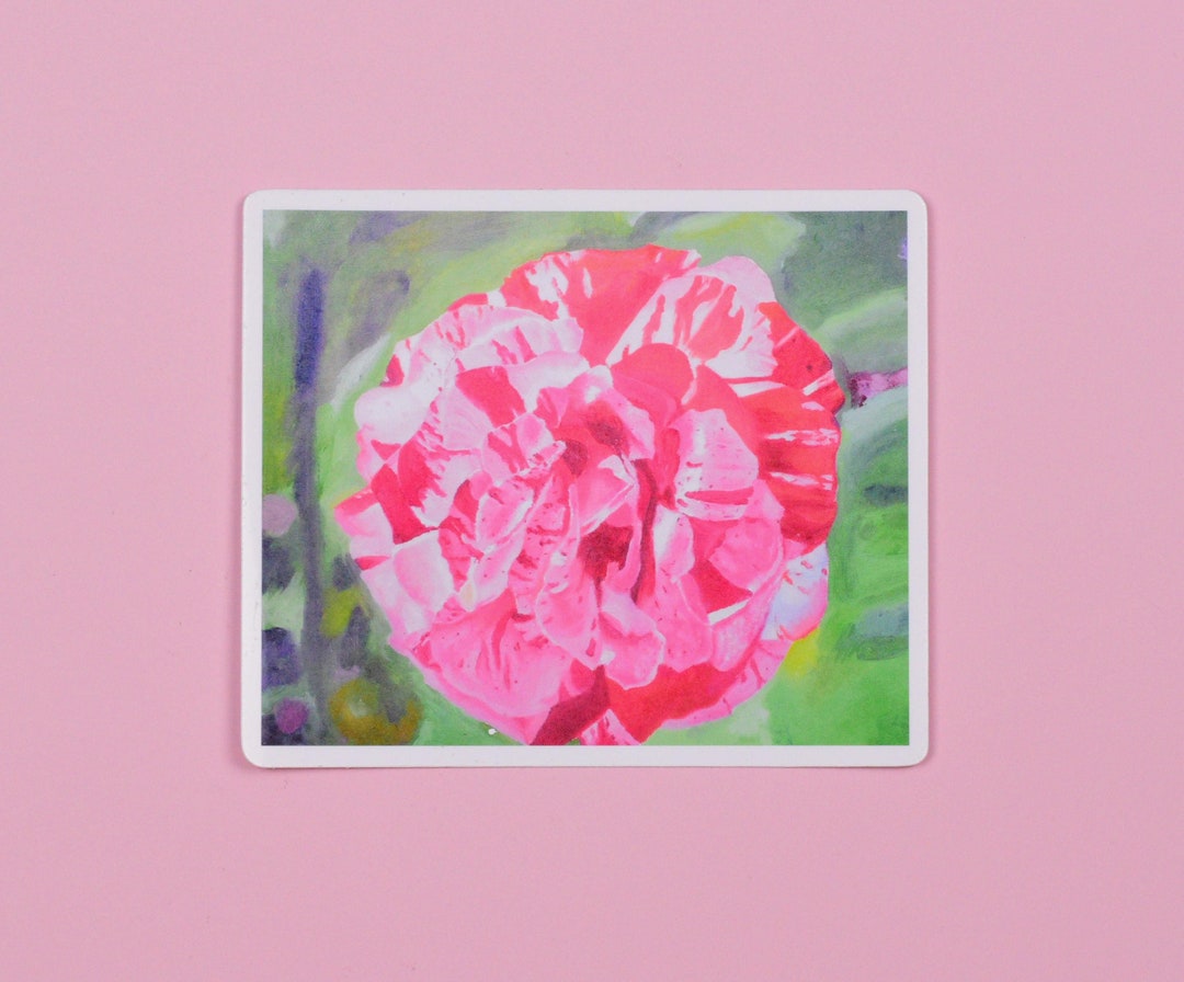 Red, White, and Pink Carnation Vinyl Sticker, Flower Floral Laptop ...