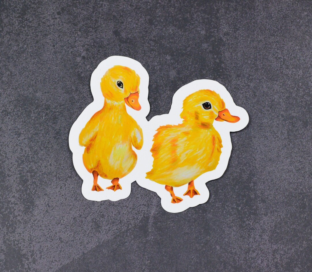 Quack Best Friends Ducks Vinyl Glossy Sticker, Thermos Water Bottle ...