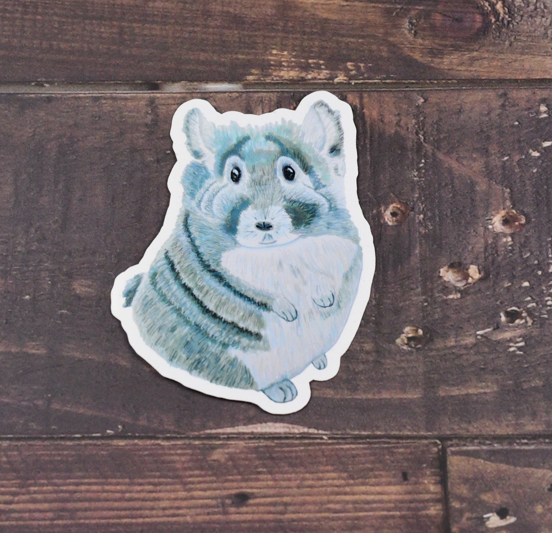 Kind Chinchilla Vinyl Sticker, Exotic Pet Laptop Decal, Furry Friend ...