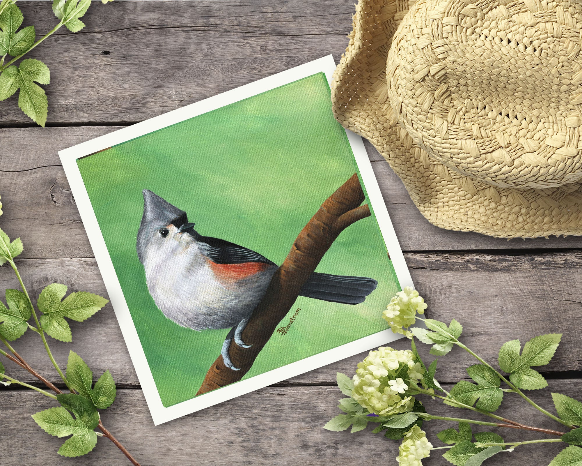 Tufted Titmouse Print, Bird Art, Fine Art Giclee, Square Artwork for ...