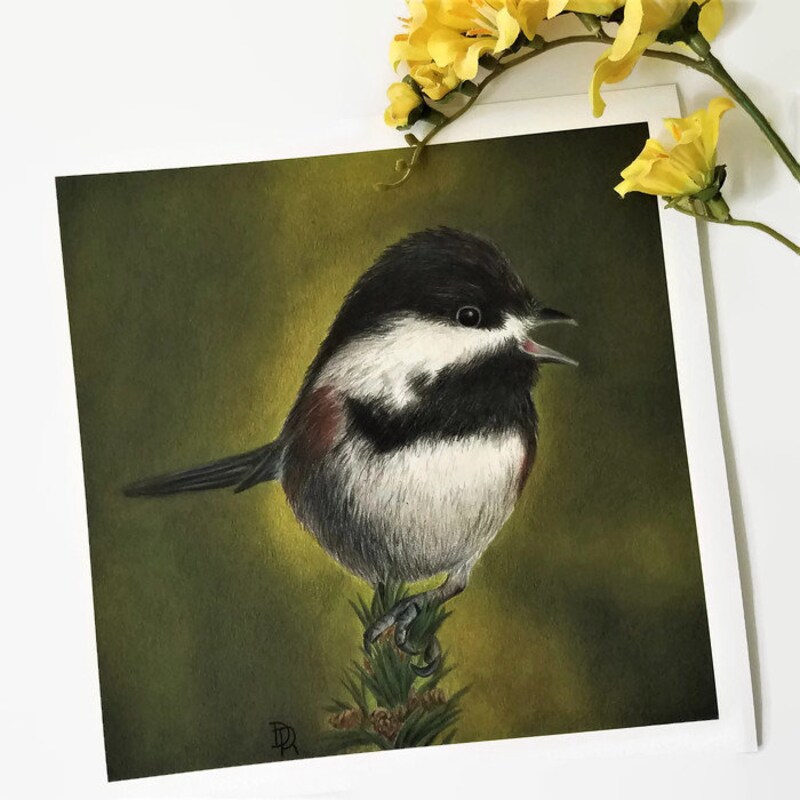 Chickadee Drawing - Etsy