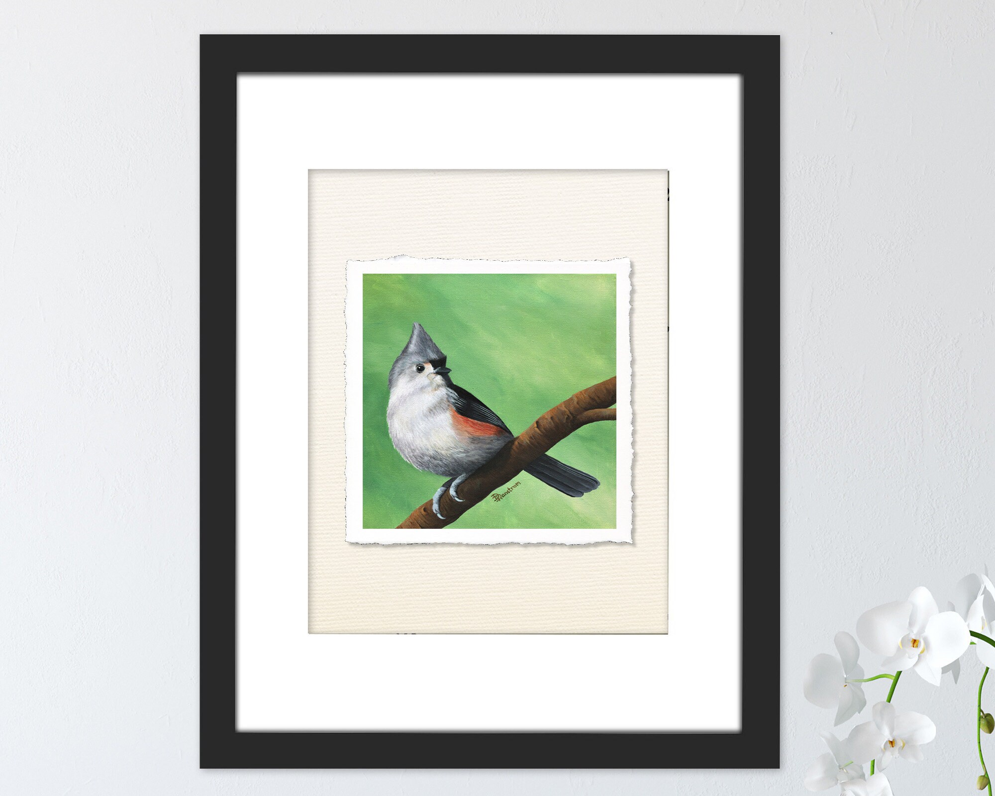 Tufted Titmouse Print, Bird Art, Fine Art Giclee, Square Artwork for ...