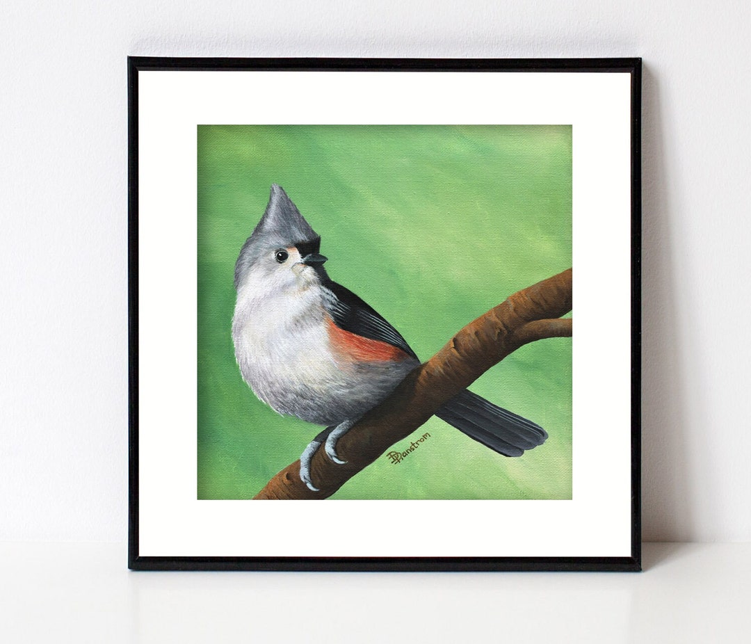 Tufted Titmouse Print, Bird Art, Fine Art Giclee, Square Artwork for ...