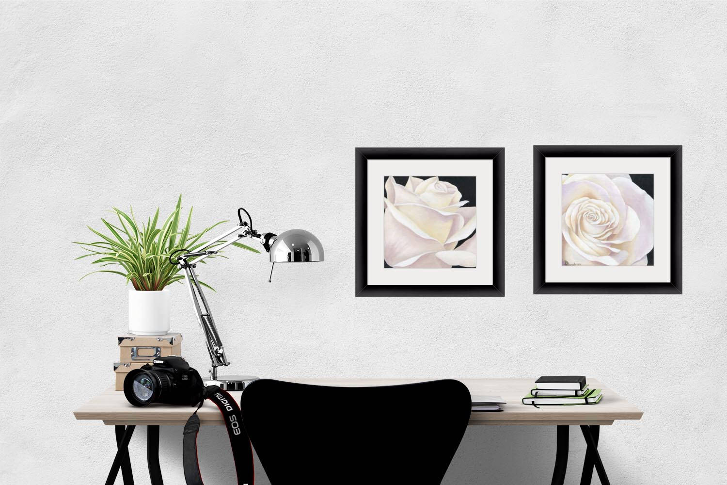 White Rose Print - Fine Art Print Set of 2 - White Flower Wall Art ...
