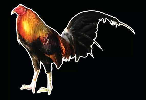 Business & Industrial Agriculture & Forestry Gamefowl decal truck car ...