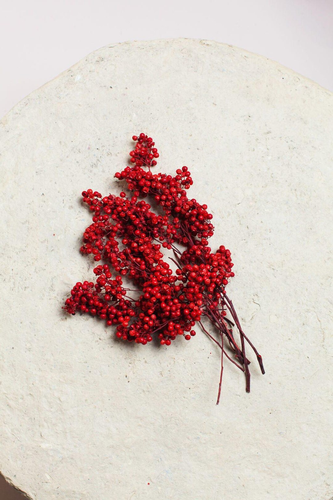 Red Preserved Pepperberry | Holiday Decor, Vase Filler, Wreath ...