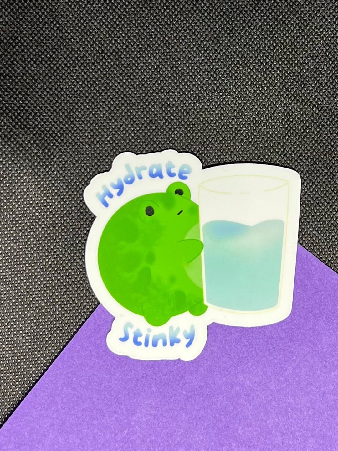Hydrate Stinky Frog MAGNET |emotional Support Waterbottle Reminder ...