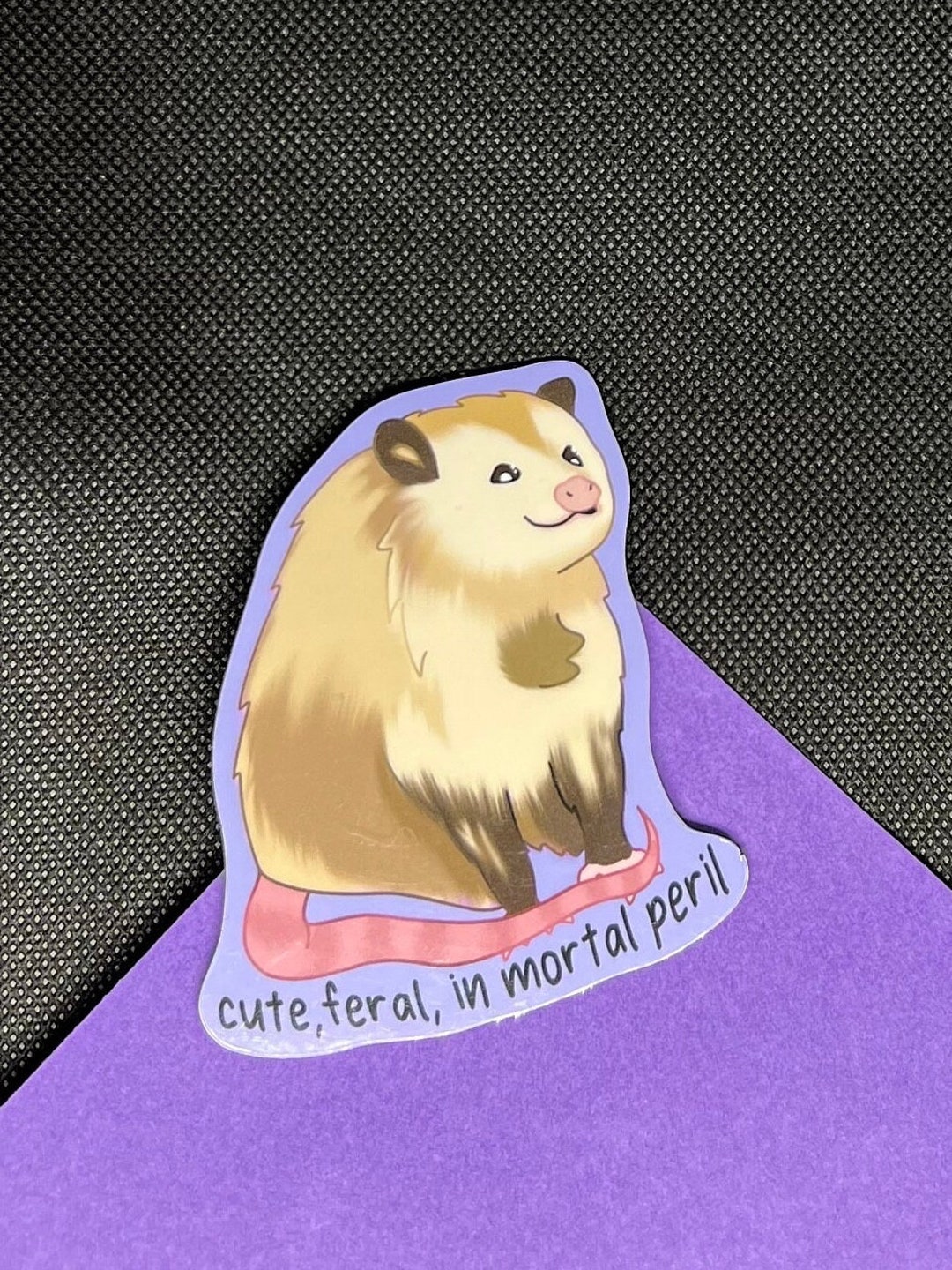 Feral Possum MAGNET | Screaming Anxious Possum Kitchen Magnet ...