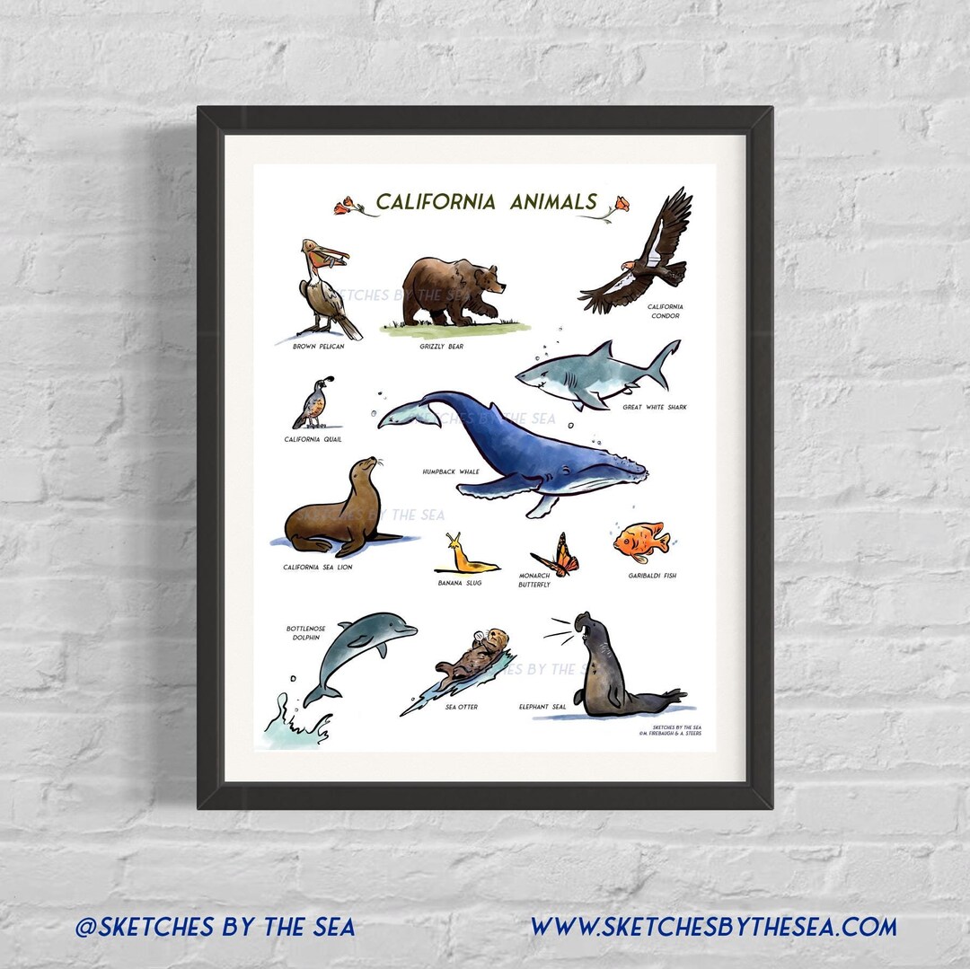 California Animals Poster - Etsy