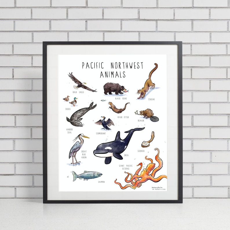 PNW Animals Poster - Etsy
