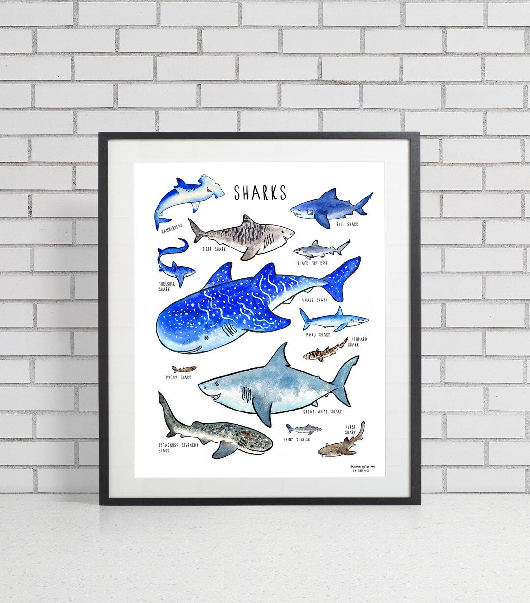 Shark Poster, Whimsical Wall Art - Etsy