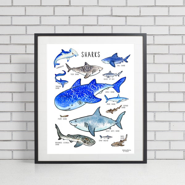 Shark Poster, Whimsical Wall Art - Etsy
