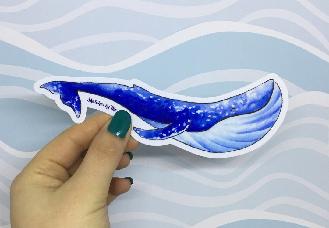 Blue Whale Sticker - Etsy
