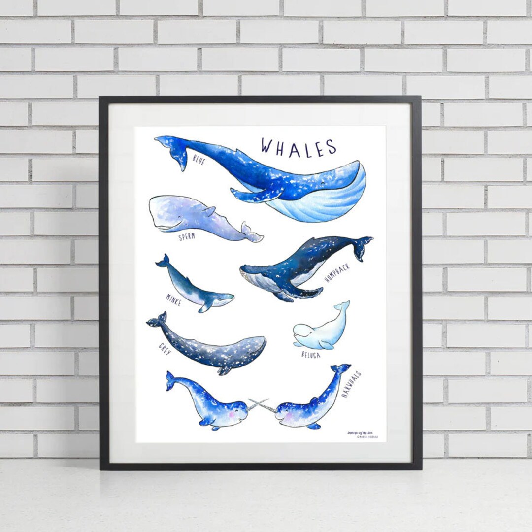 Whale Poster, Whimsical Wall Art - Etsy