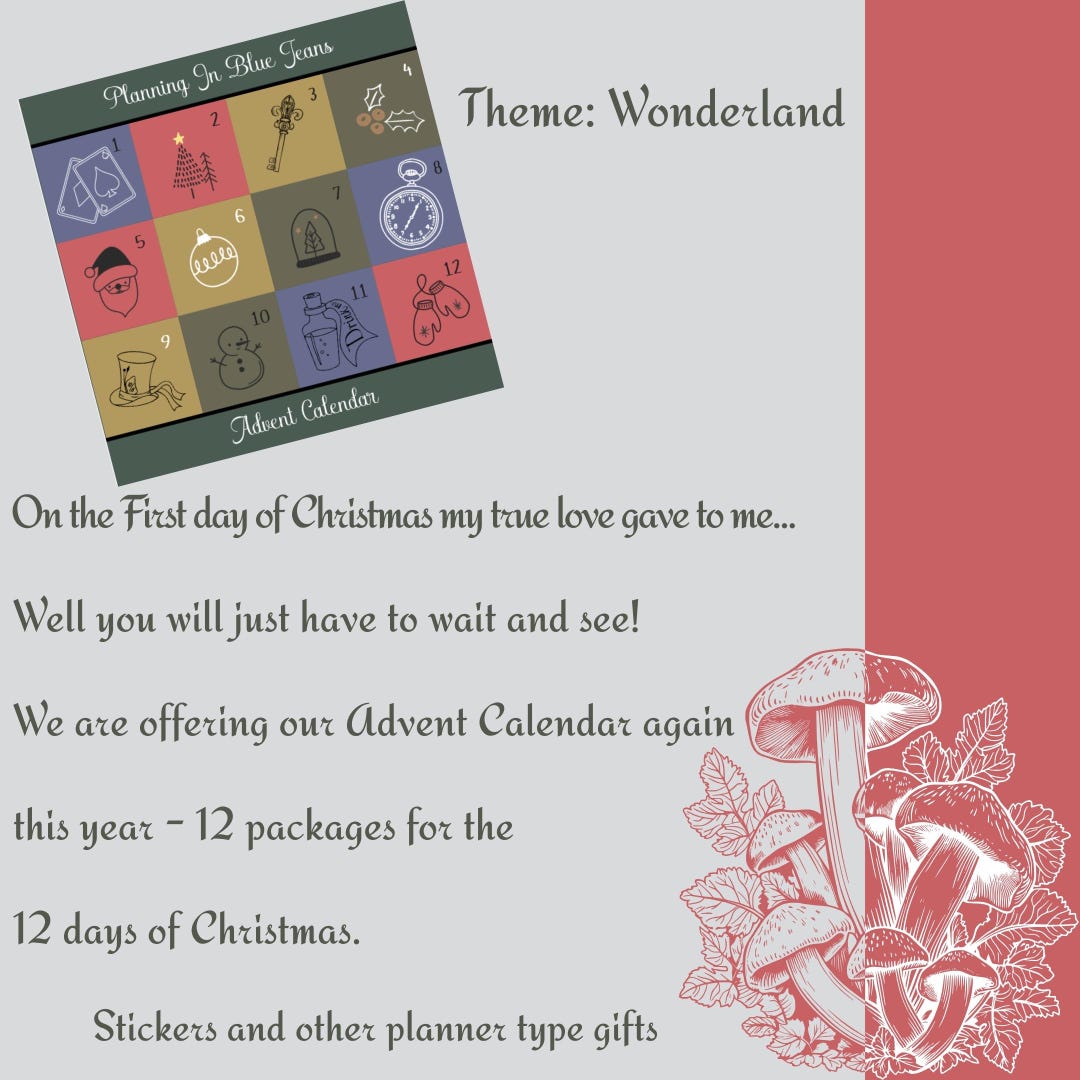 PRE-SALE 12 Days of Christmas 2025 Advent Planner Goodie Box - Please ...