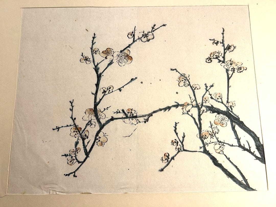 Antique Chinese Li Weng Chi Yu Mustard Seed Garden Print - Etsy