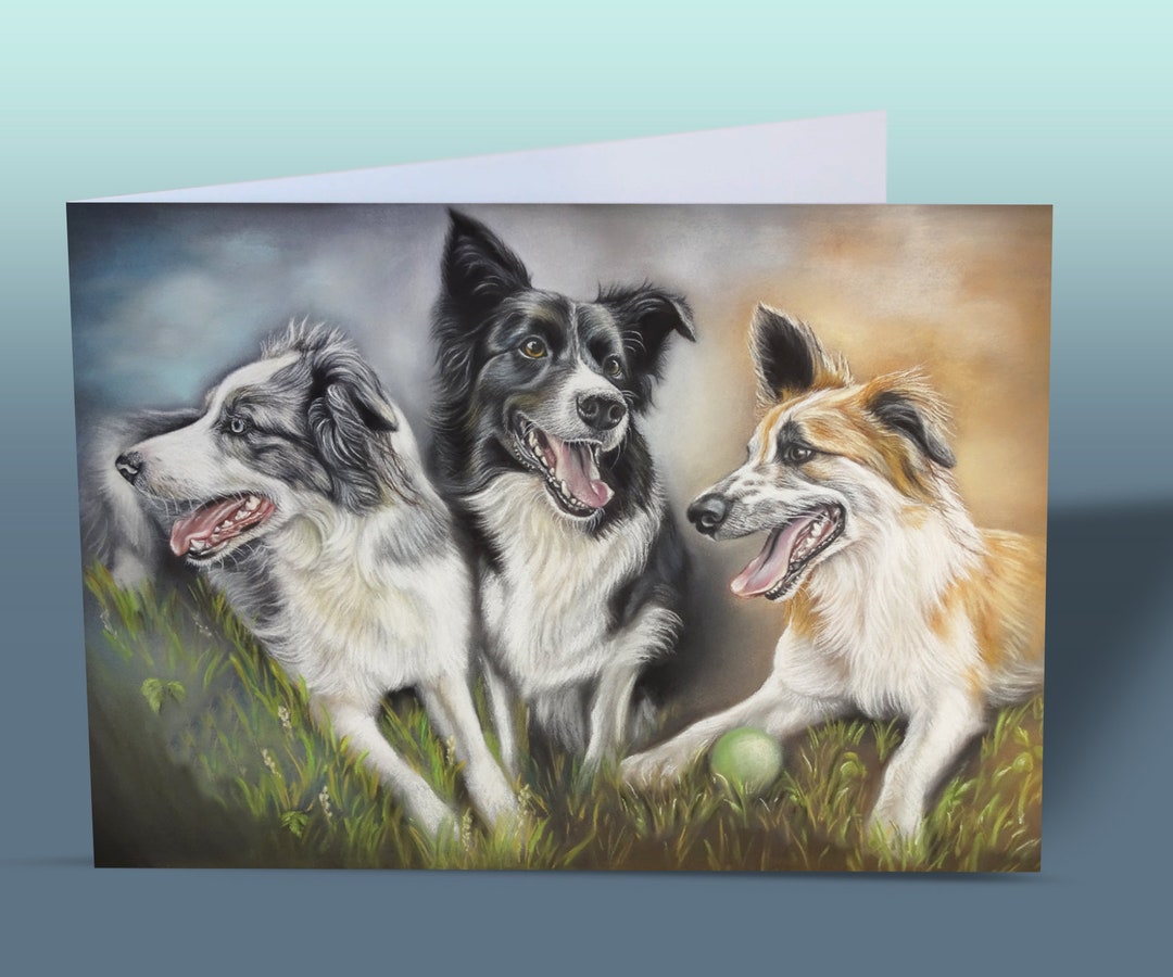 Three Border Collies Greeting Card - Fine Art Dog Card - Border Collie ...