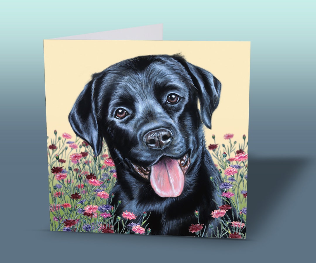 Black Labrador Card | Black Labrador Birthday Card | Labrador Retriever ...