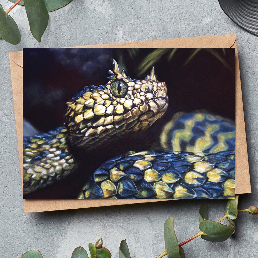 Snake Greeting Card - Wildlife Card - Horned Viper Card - Card Snake ...