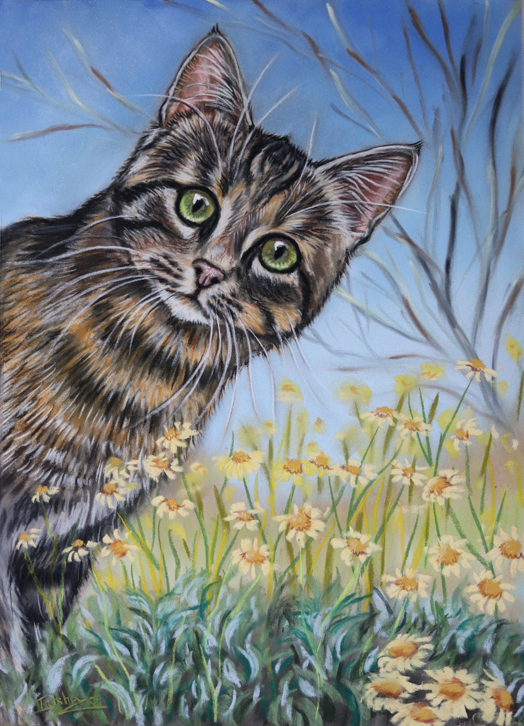 Tabby Cat Pastel Drawing: Cat Lover Gifts, Feline Art - Etsy