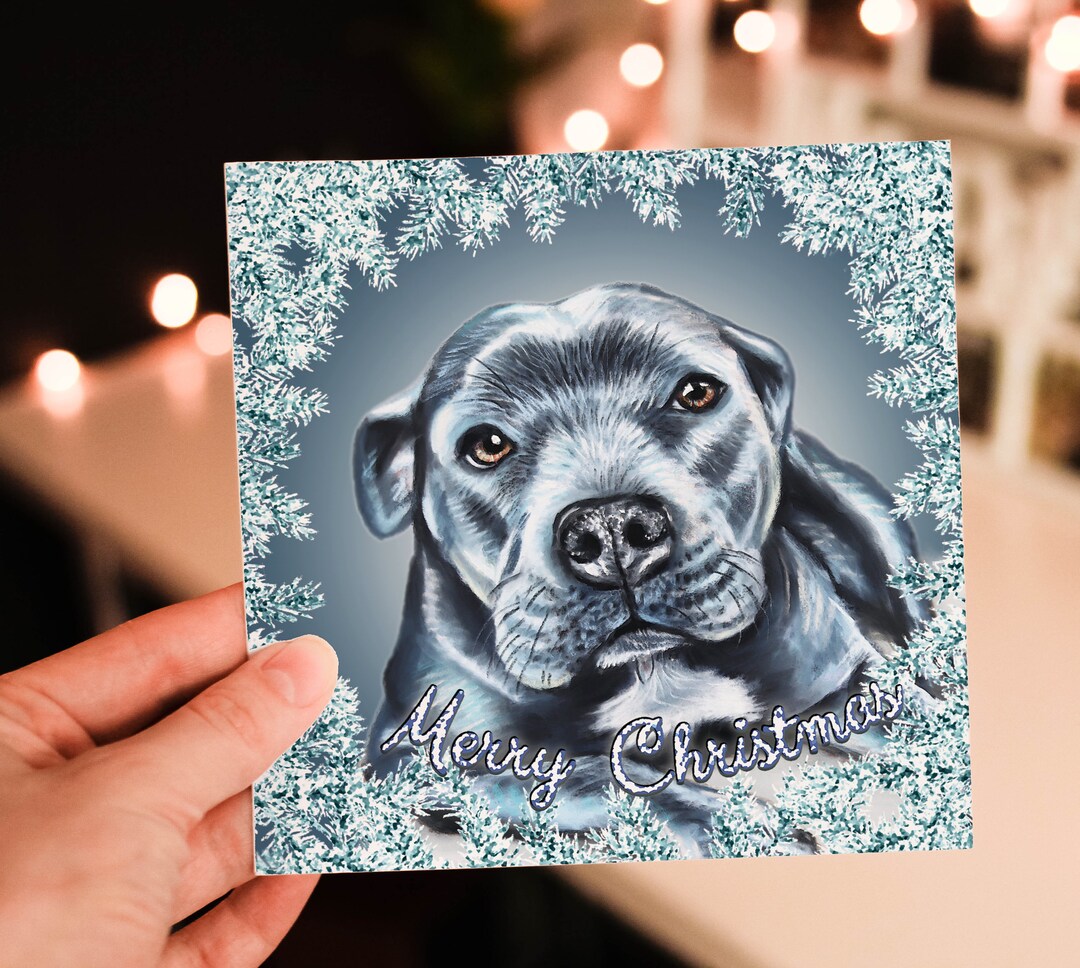 Staffy Christmas Card - Christmas Card Dog - Staffordshire Bull Terrier ...