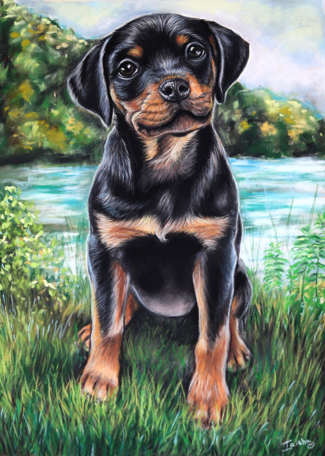 Rottweiler Picture Wall Art | Rottweiler Original Drawing | Rottweiler ...
