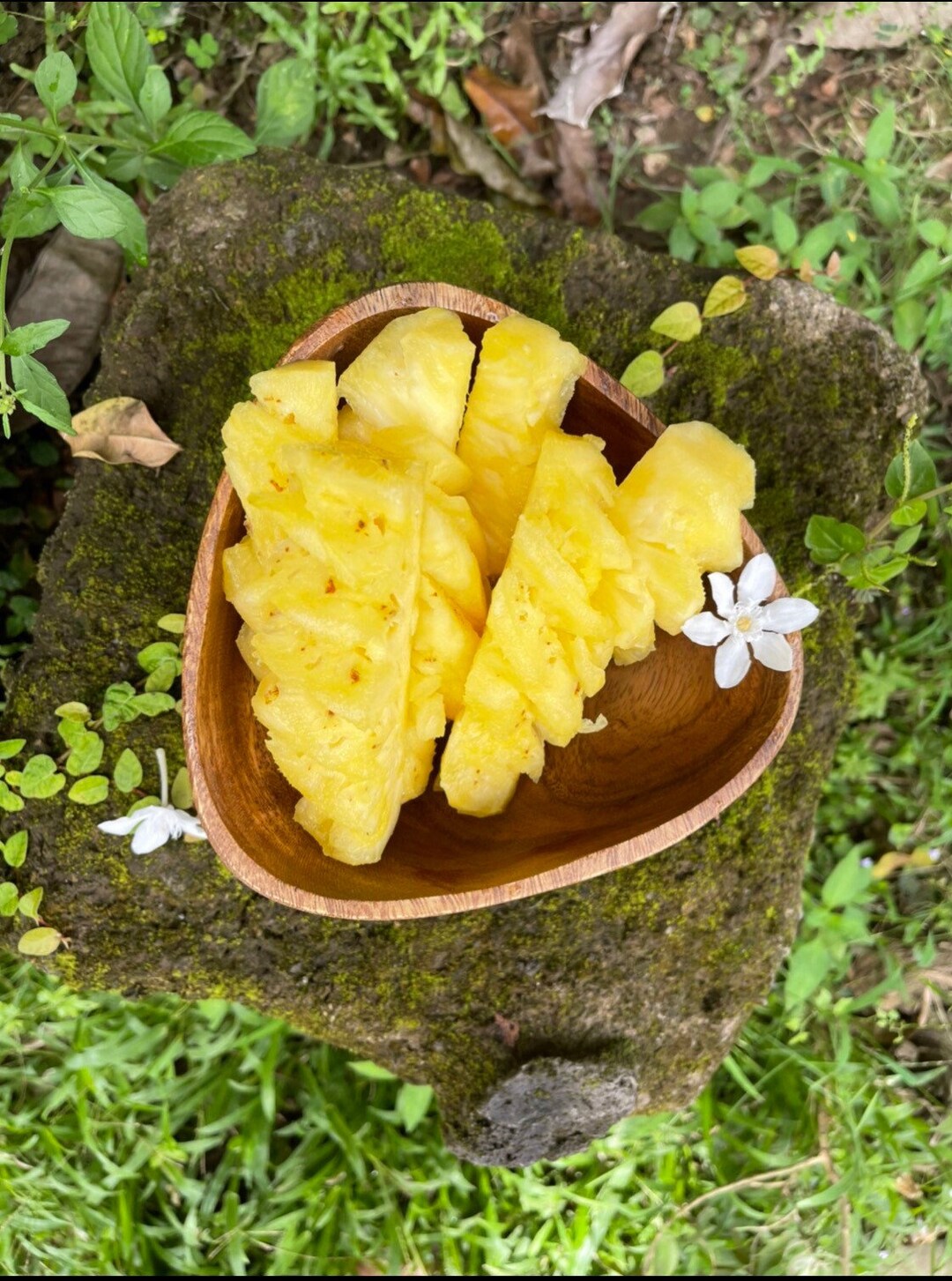 Artisan Bermuda Acacia Wood Bowl | Wooden Triangle Bowl | Wood Bowl ...