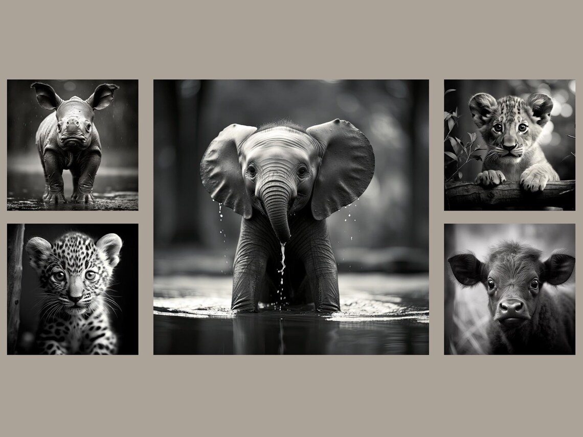 Big 5 African Animals Babies | Black and White | Digital Print | Lion | Buffalo | Elephant ...