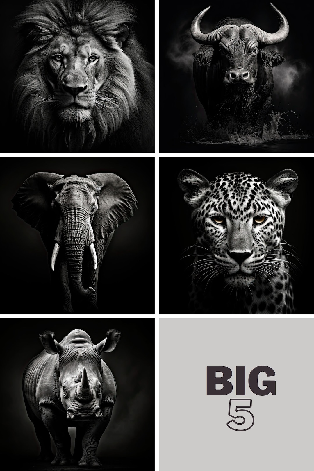 Big 5 African Animals | Monochrome | Digital Print | Lion | Buffalo | Elephant | Leopard | Rhino ...