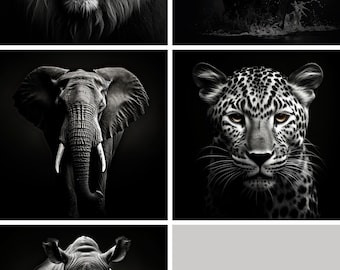 Big 5 African Animals | Black and White | Digital Print | Lion | Buffalo | Elephant | Leopard ...