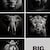 Big 5 African Animals | Black and White | Digital Print | Lion | Buffalo | Elephant | Leopard ...